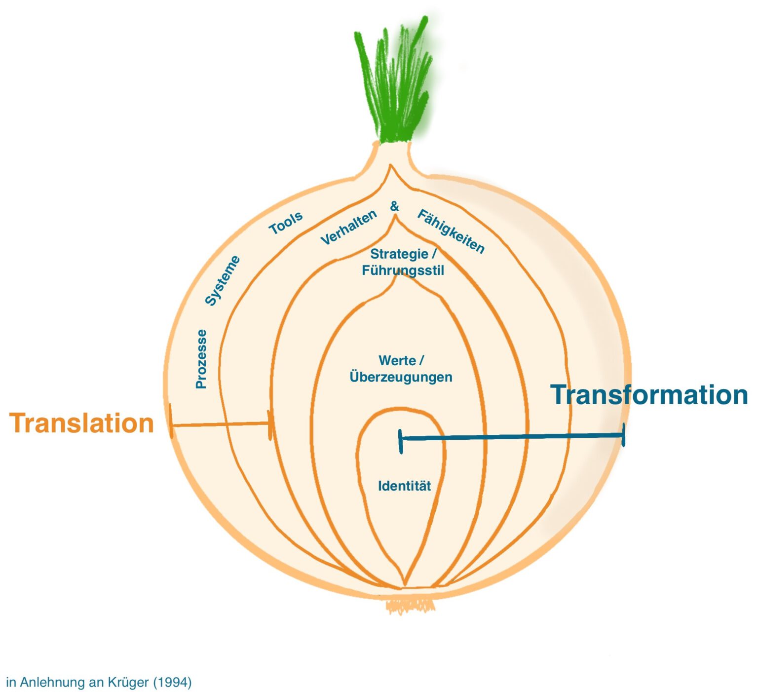 Zwiebelbilanz – Brückenbauerinnen Lüneburg